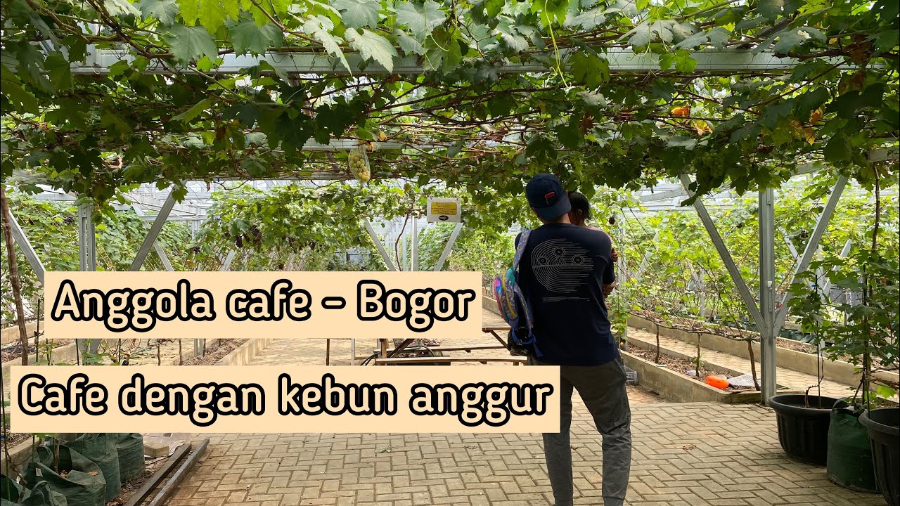 CAFE KEBUN ANGGUR DI BOGOR - ANGGOLA CAFE - YouTube