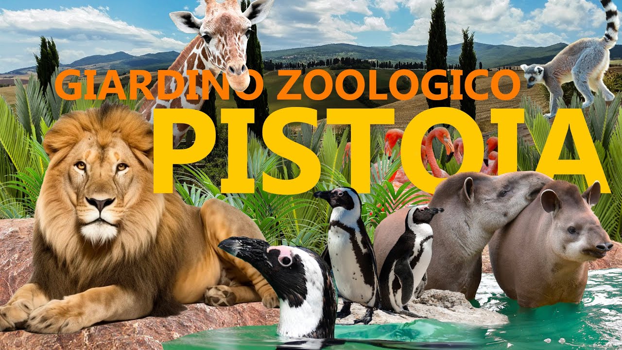 Zoo Pistoia - ein Geheimtipp in der Toskana! | Zoo-Eindruck - YouTube