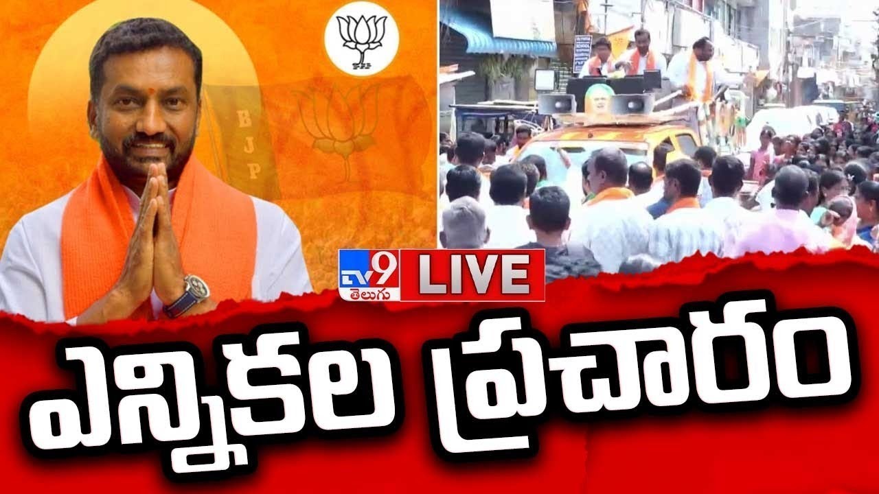 Raghunandan Rao LIVE | ఎన్నికల ప్రచారం @ Medak - TV9 - YouTube