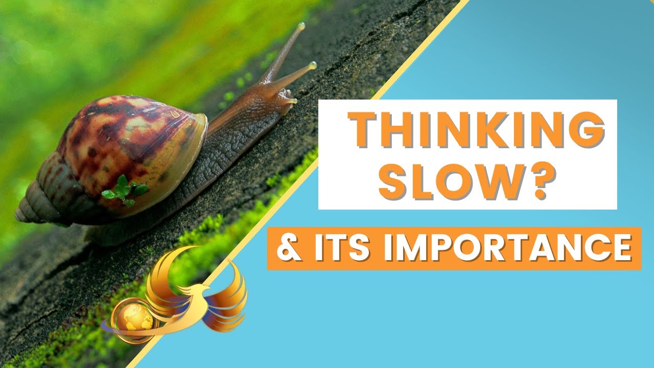 Thinking Slow & It's Importance - YouTube