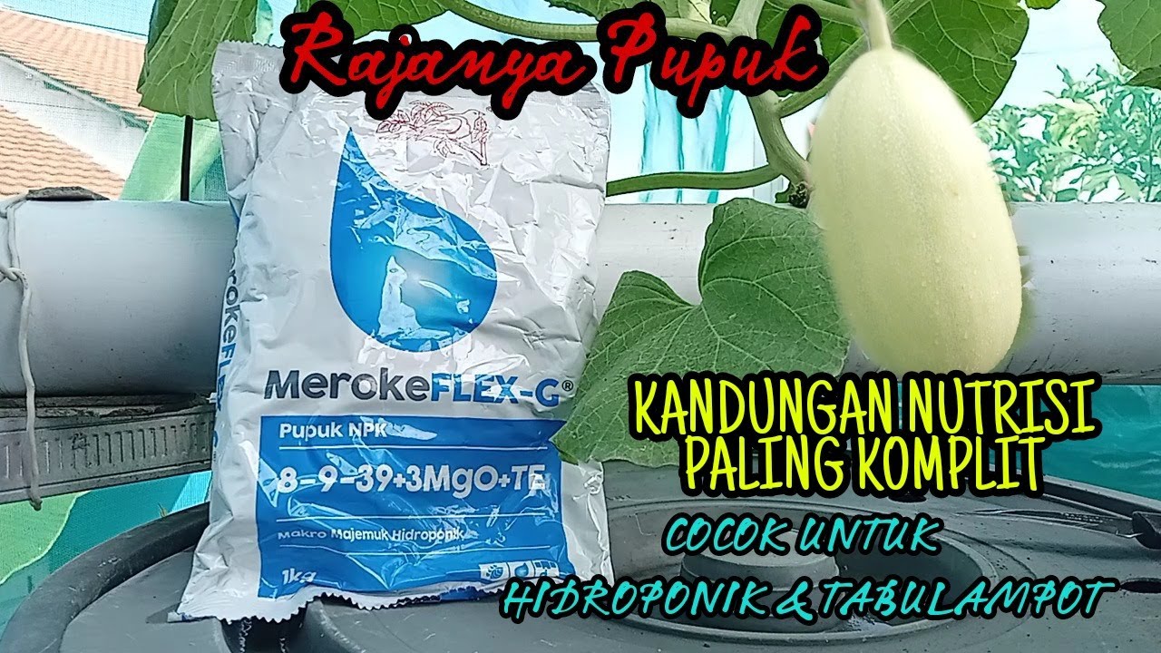 PUPUK MEROKE FLEX-G BAHAN DASAR NUTRISI AB MIX HIDROPONIK & PUPUK ...