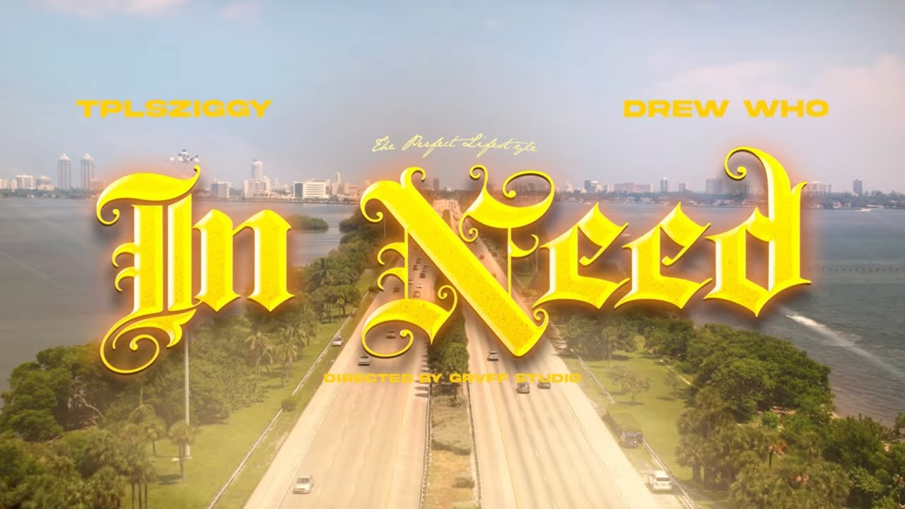 TPLSZIGGY ft Drew Who - In Need (Visualizer) - YouTube