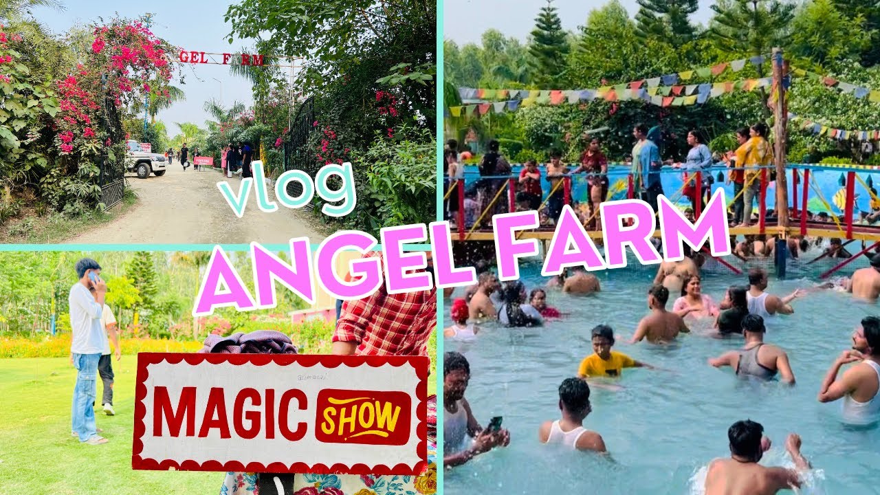 Angel farm Hoshiarpur || pool || only 50RS || Full vlog - YouTube