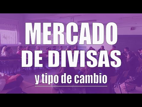 Mercado de divisas y tipo de cambio (con ejercicio resuelto)