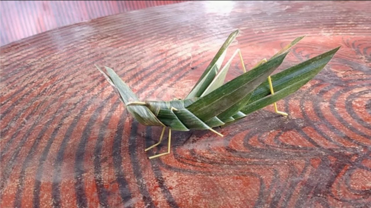 How to make a grasshopper by Coconut leaf - YouTube