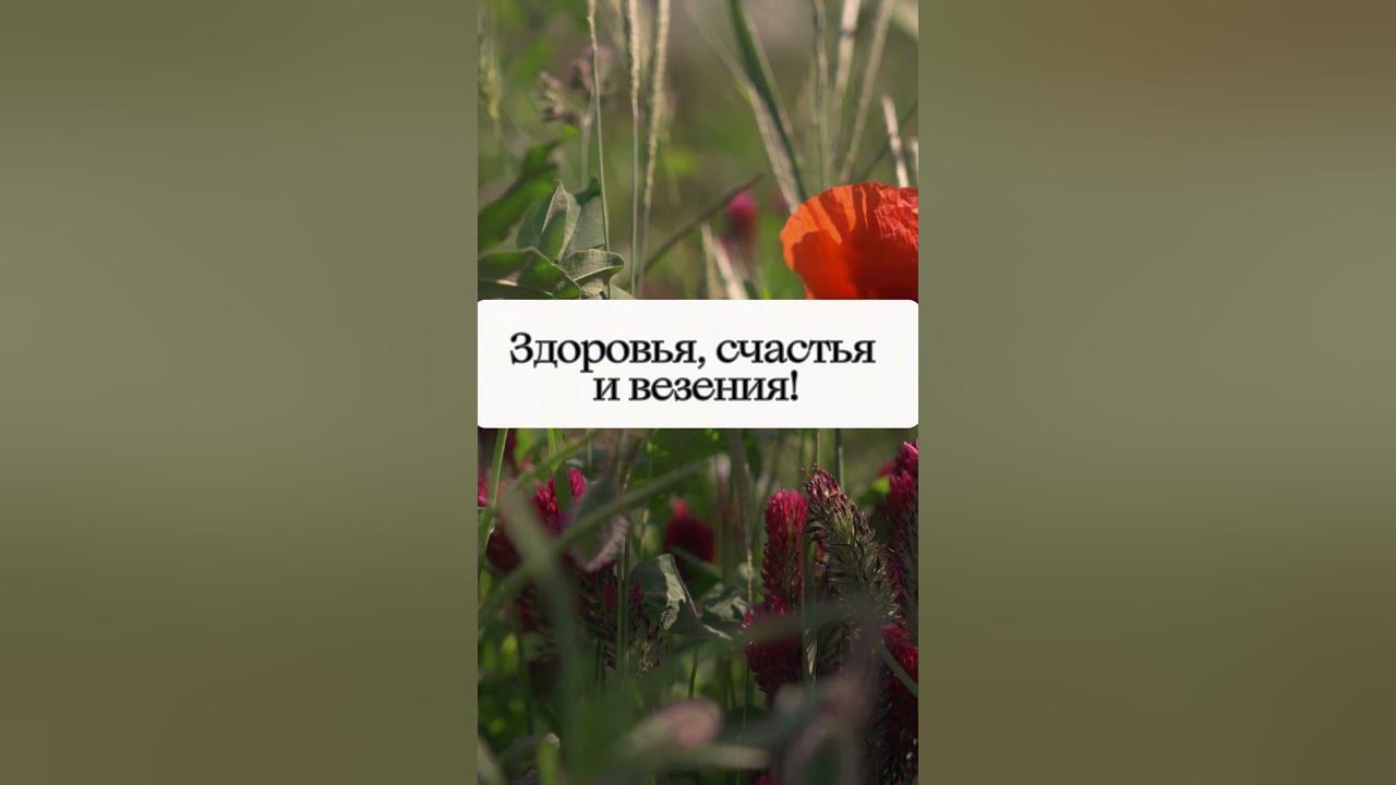 Маруся, с днем рождения! - YouTube