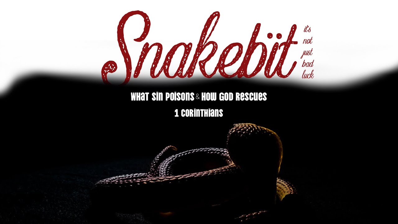 NBC Live - 2/23/25 @ 9:00 am - YouTube