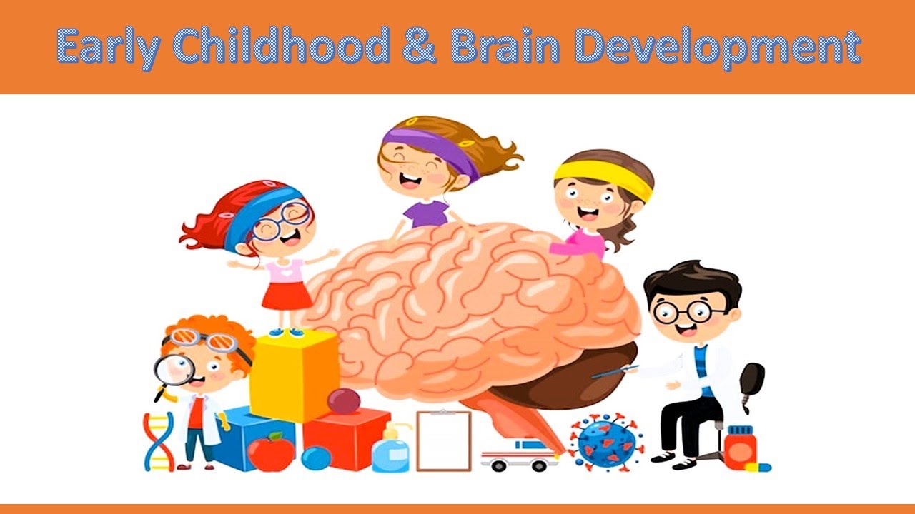 Unleashing Potential: How Early Years Shape Brain Development - YouTube