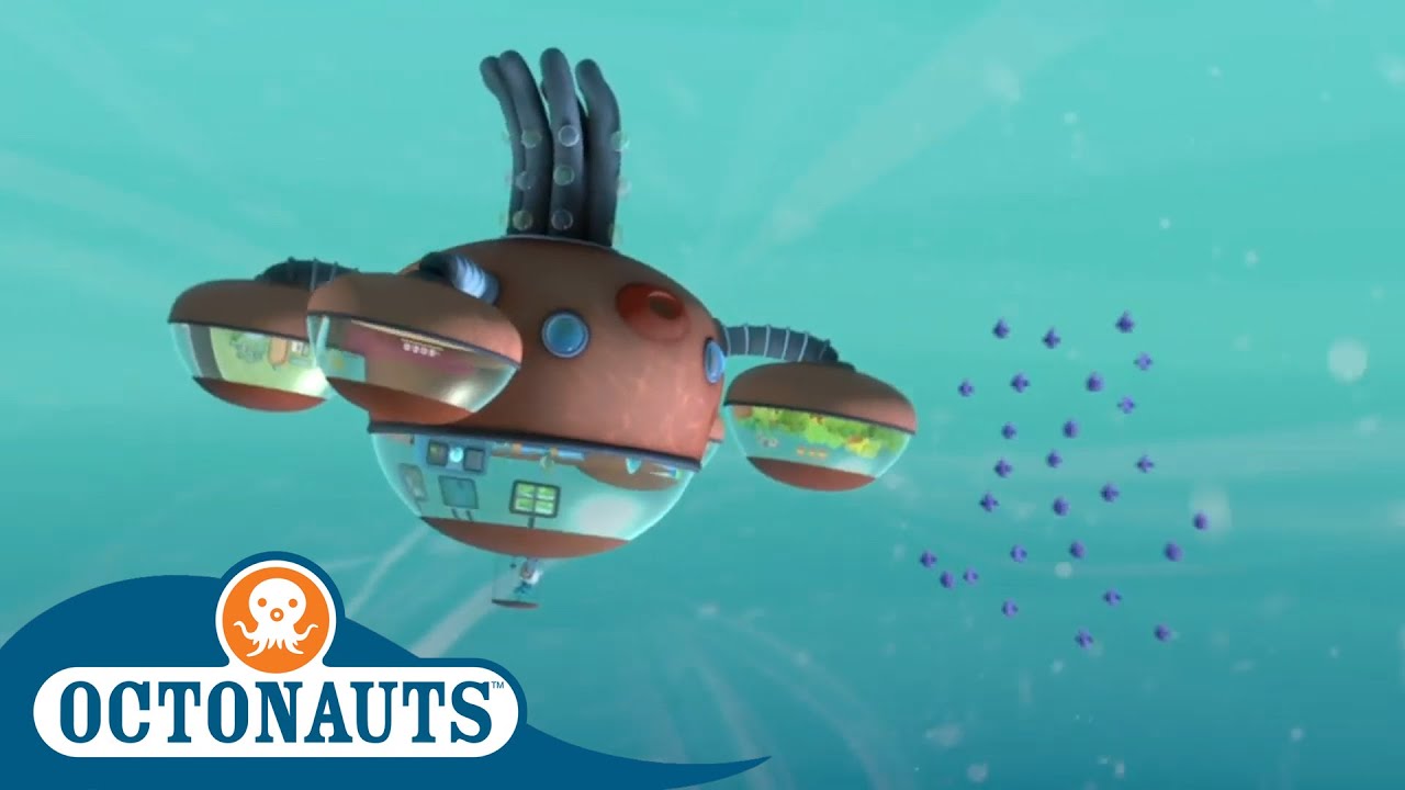 Octonauts - Riding the Rapids | Cartoons for Kids - YouTube