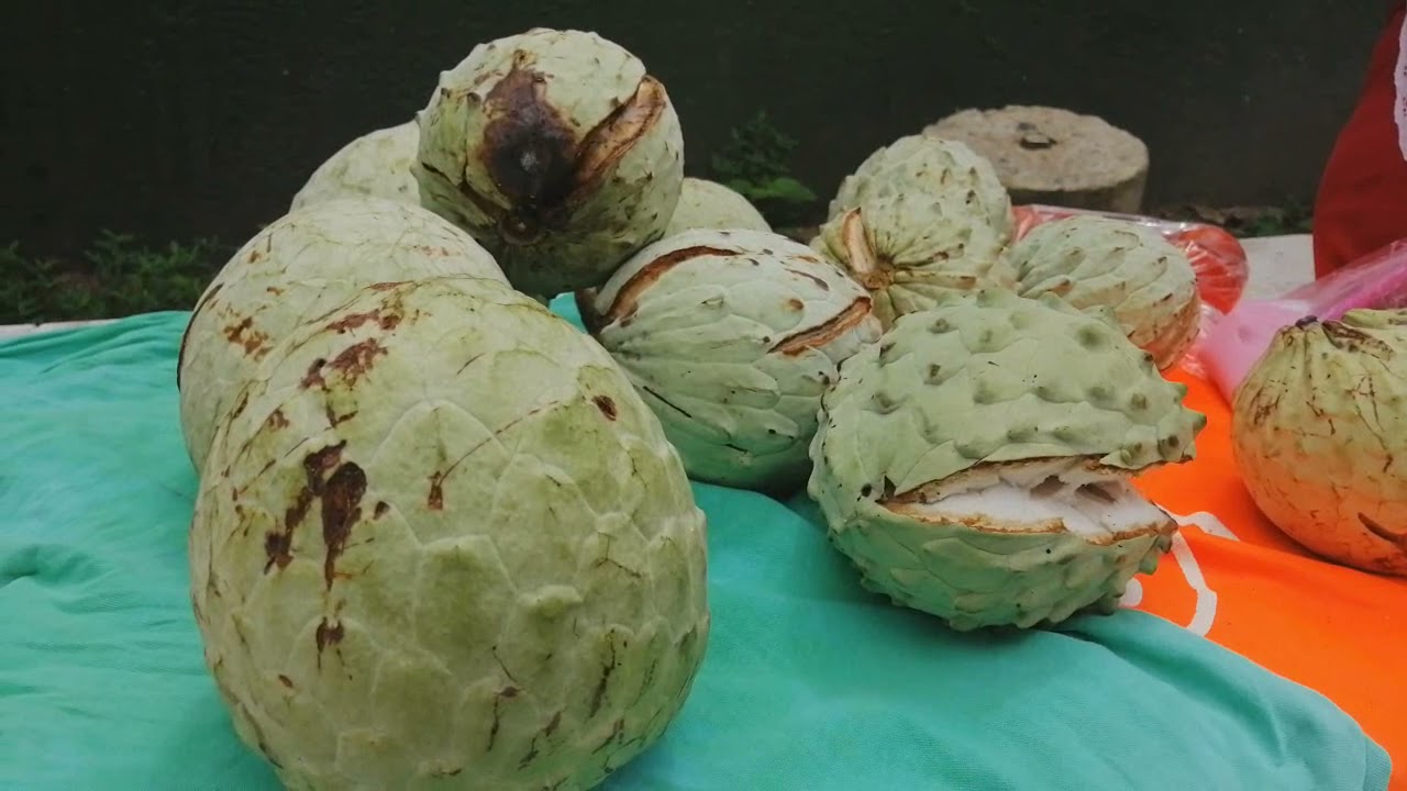 Frutas De Costa Chica