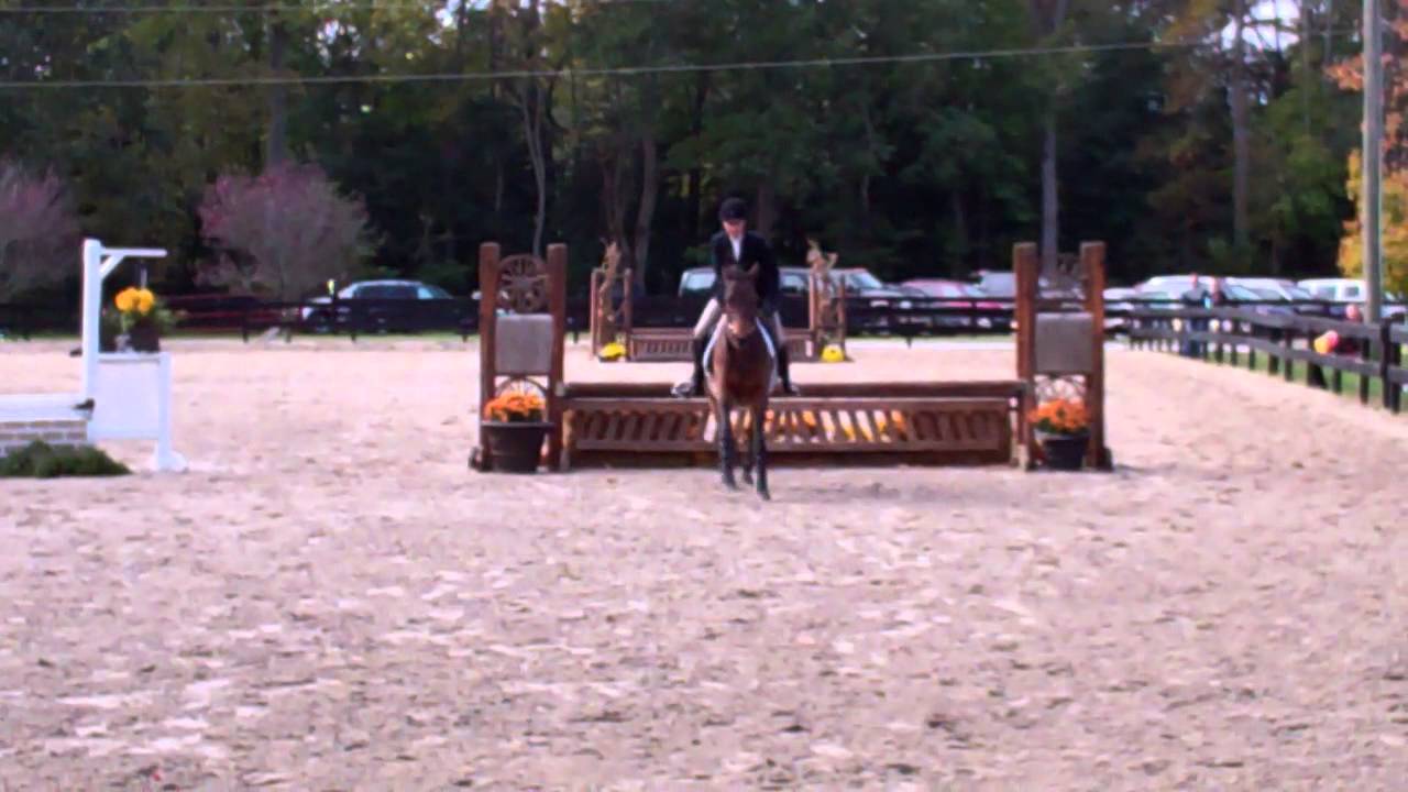 Karli Postel & Homer - Open Fences - Christopher Newport University ...