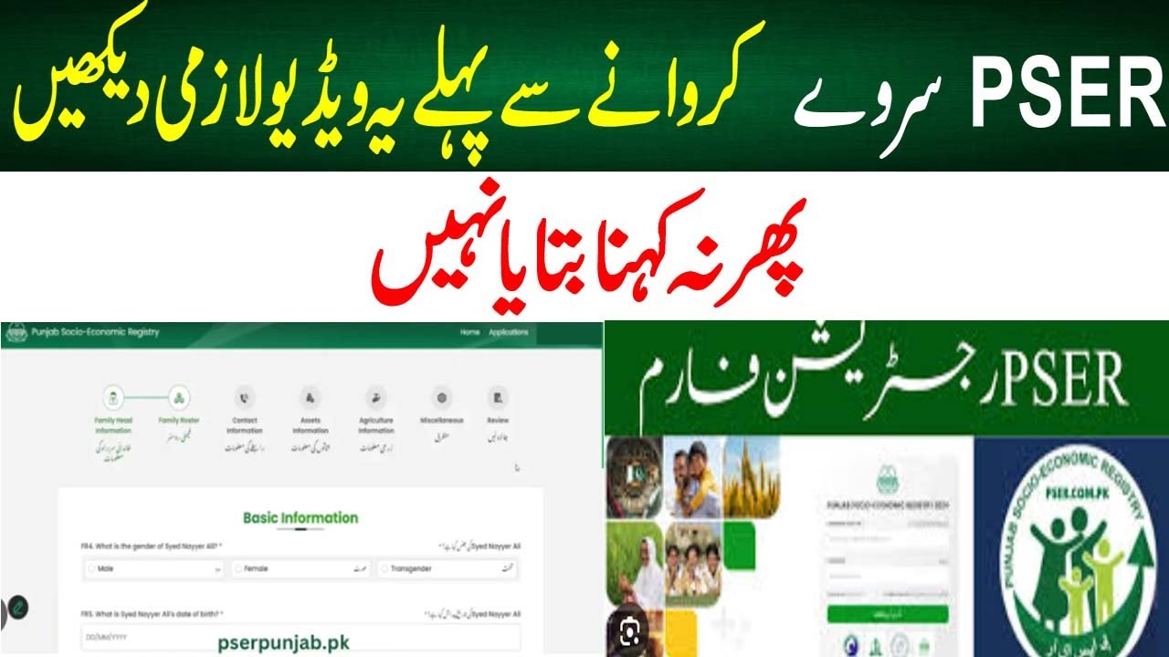 Must watch Video PSER Punjab Gov pk l PSER Online Servay l PSER Online ...