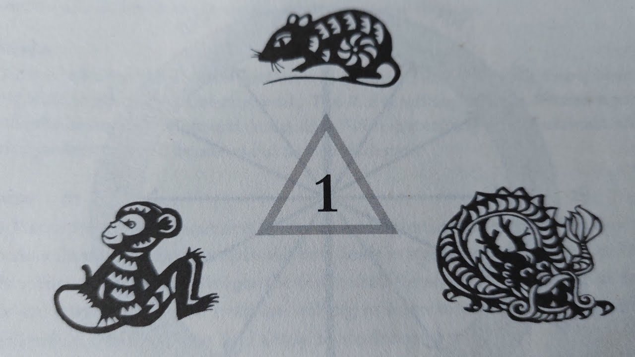 The First Affinity Triangle of the Chinese Zodiac - YouTube