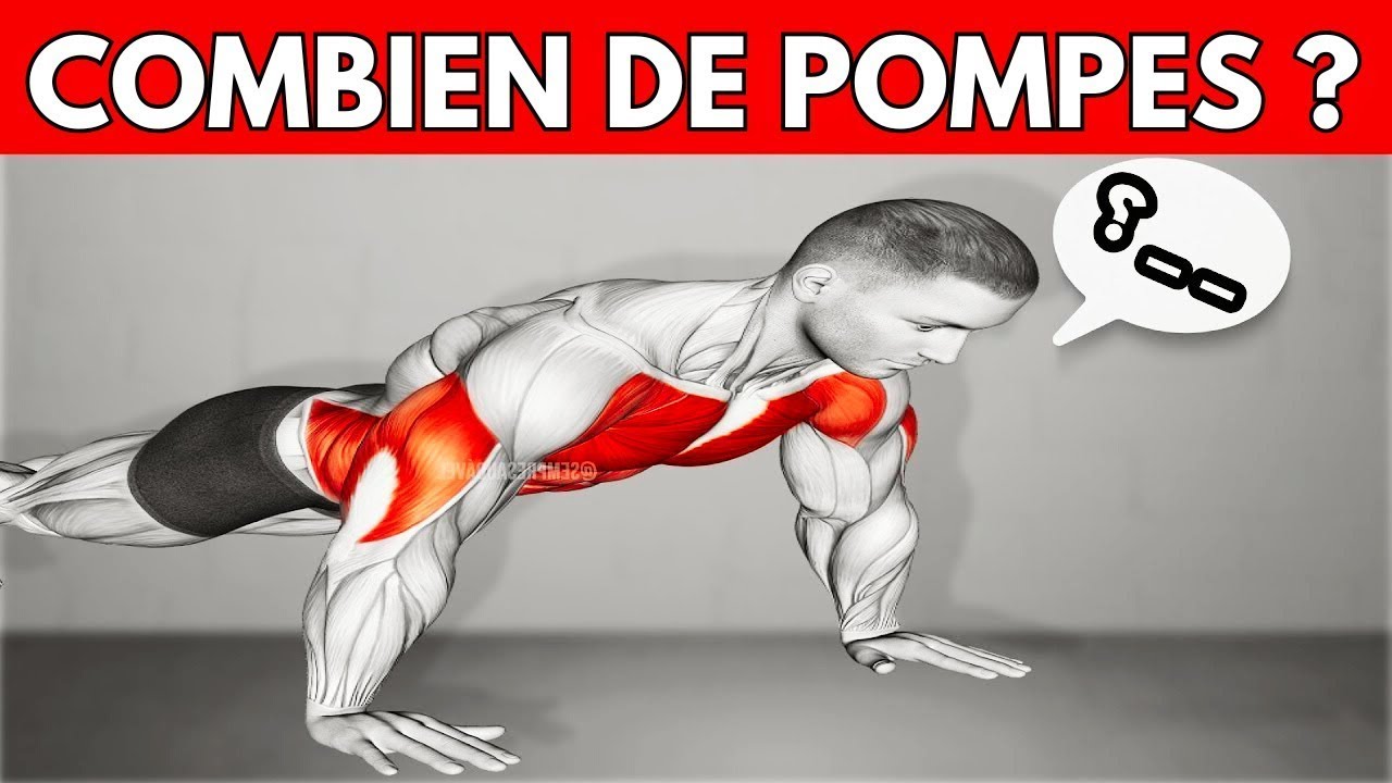 Pompes : Combien Devez-vous en Faire par Jour pour Gagner du Muscle ...