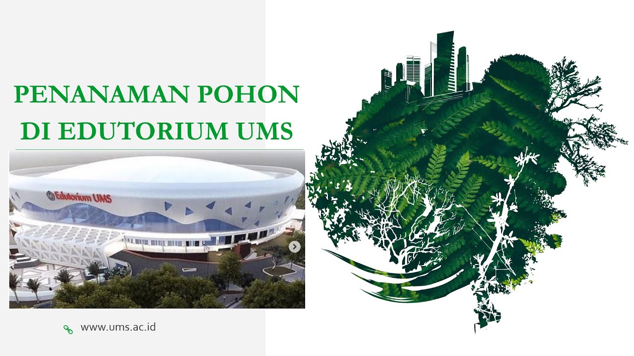 Penanaman Pohon di Edutorium UMS - YouTube