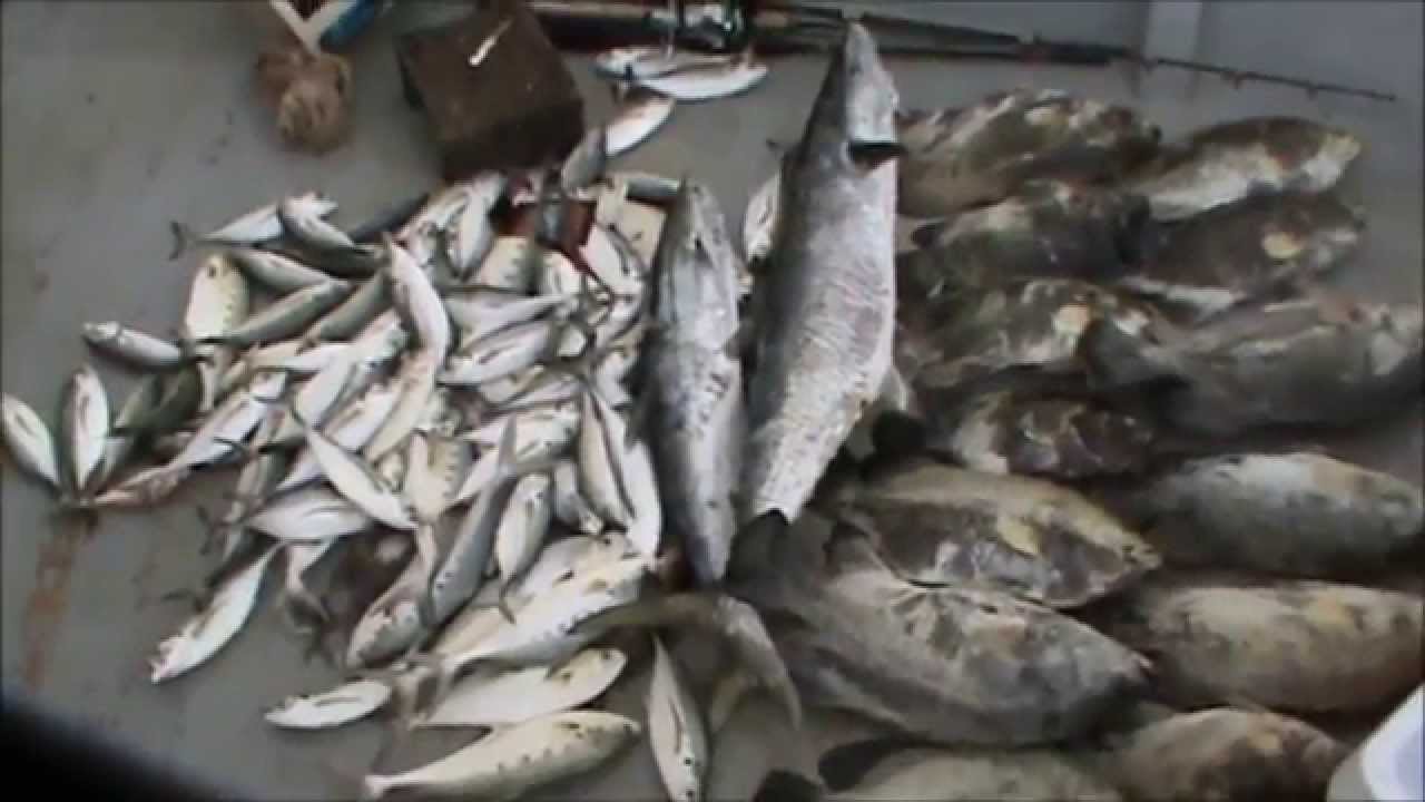 Trip memancing Tenggiri, pecah periuk, talang dan cencaru. - YouTube