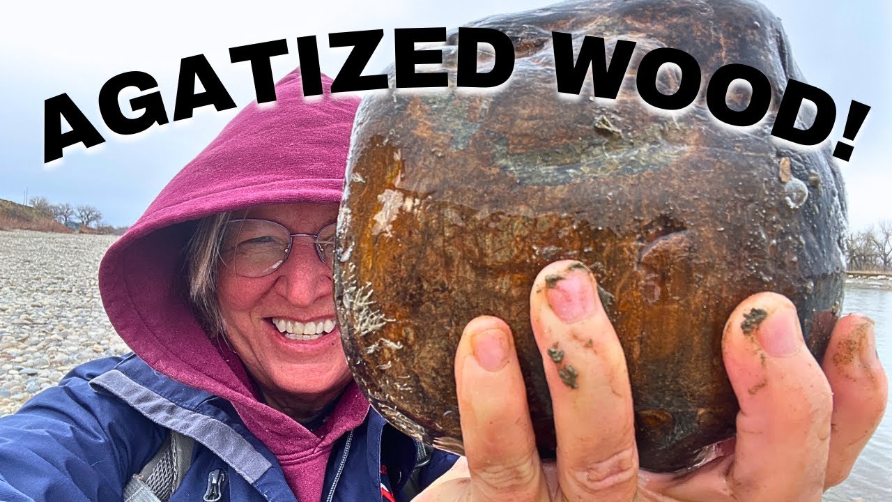 AGATIZED WOOD and Montana Agates Rockhounding in Early March - YouTube