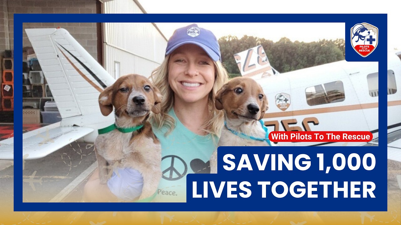 🛩️ Tune in: Alex Lee & Michael Schneider Share Inspiring Volunteer ...
