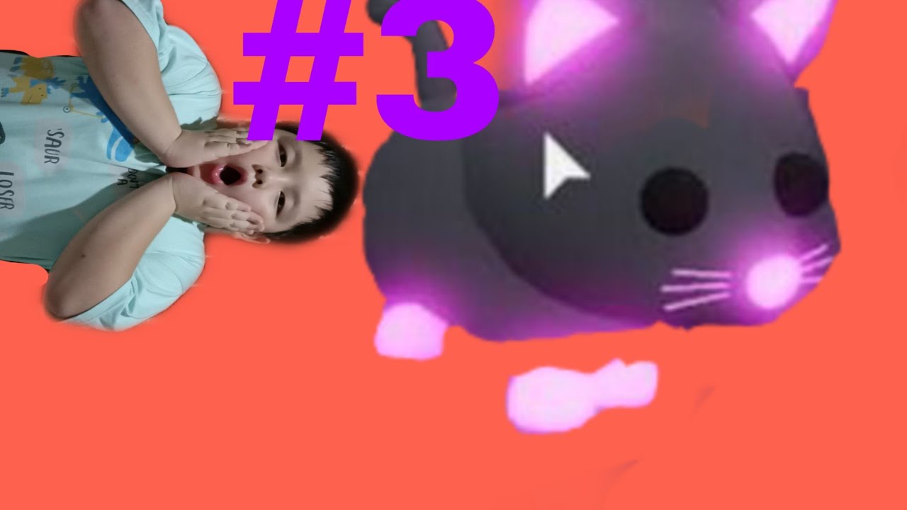 Making neon cat part 3 - YouTube