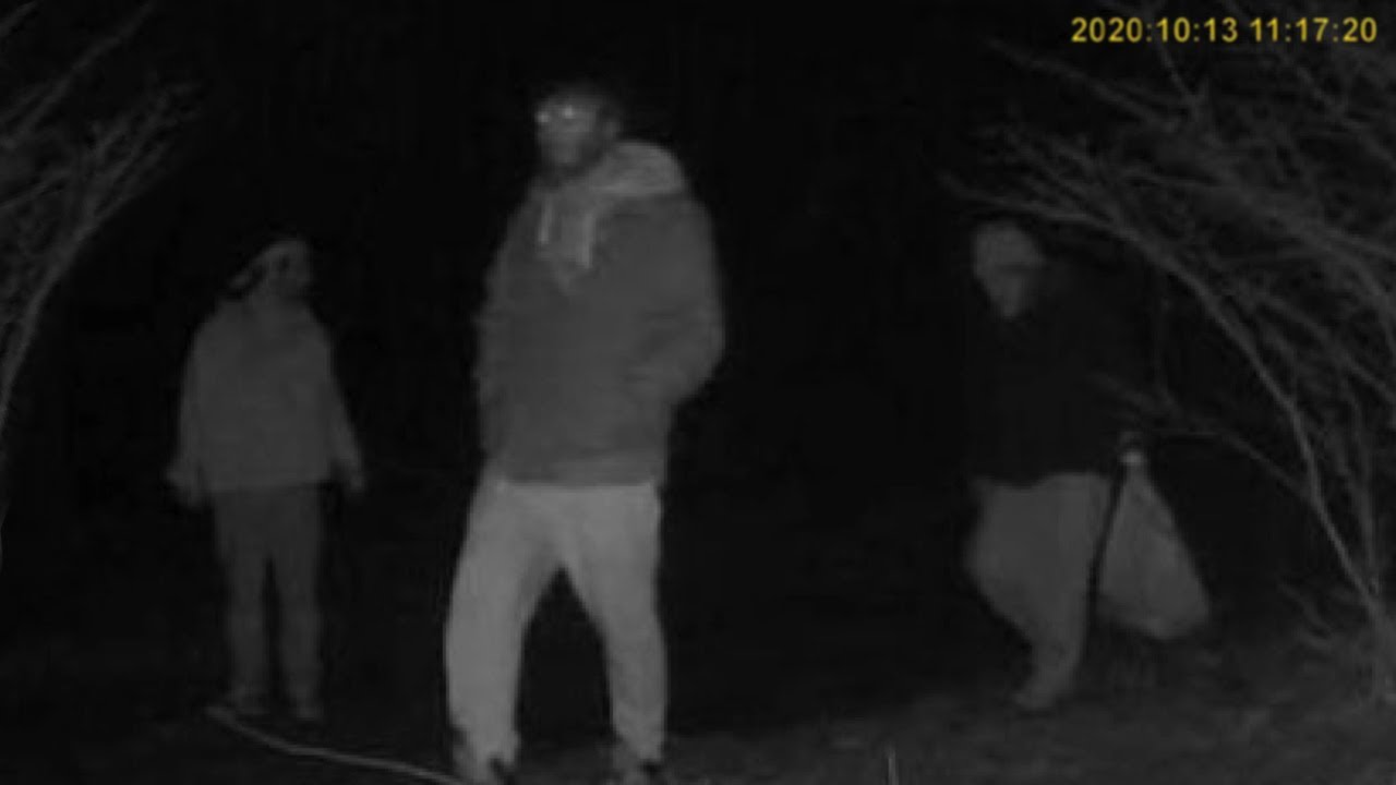 6 Most Disturbing Forest Encounters Caught On Camera Win Big Sports