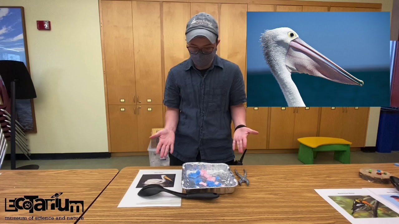 Fill the Bill - At-Home Activity Demo - YouTube