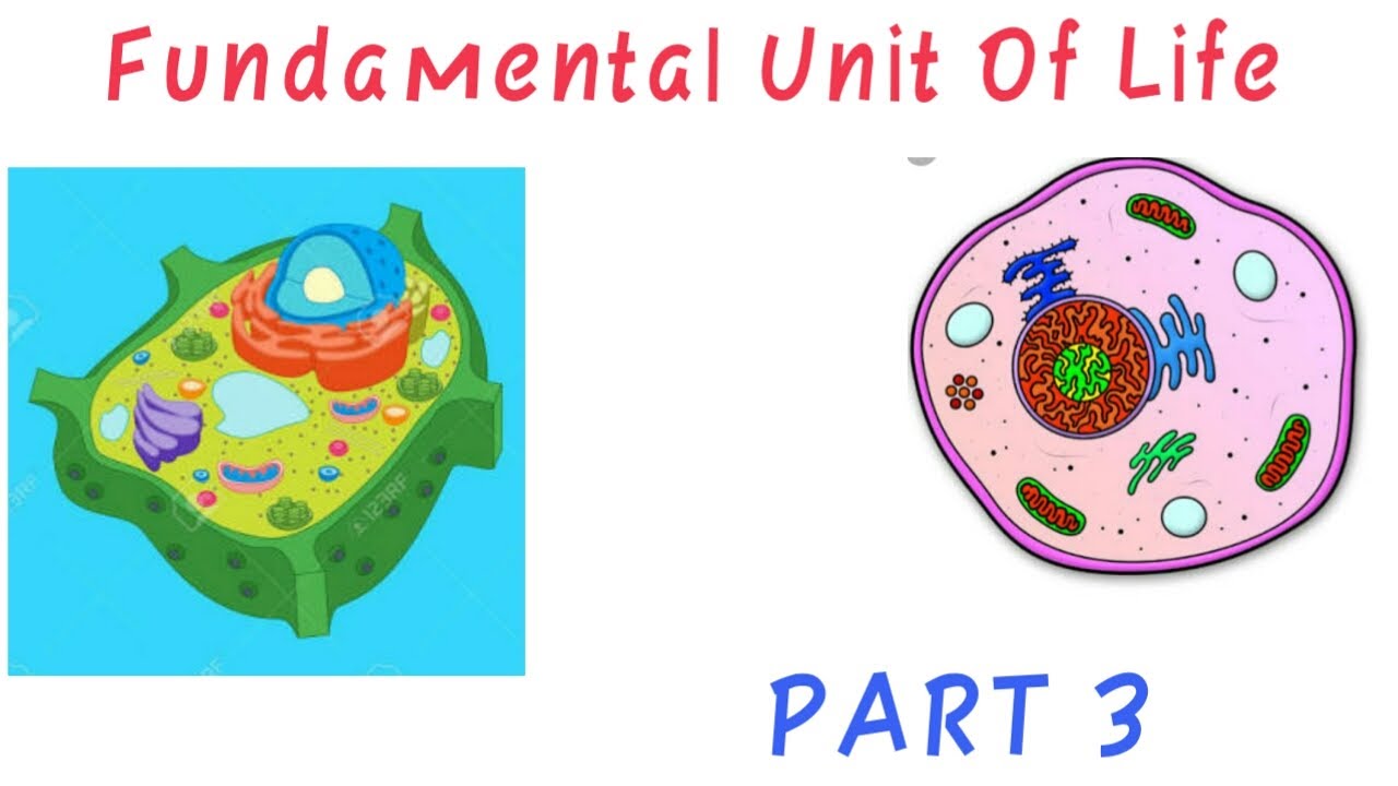 Cell Organelles : Mitochondria, Plastid , Nucleus , Lysosome, Vacuoles ...