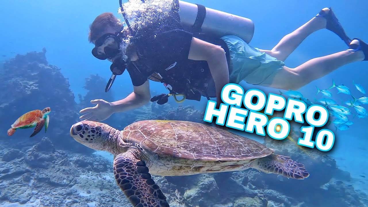 Gopro Hero 10 Beautiful underwater moments - YouTube