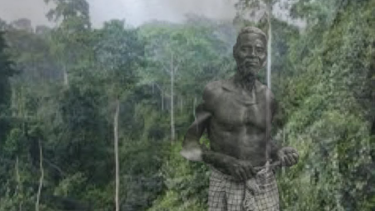 Man Narrates How A 200 Yr Old Talking Tree Fought With Him In The ...