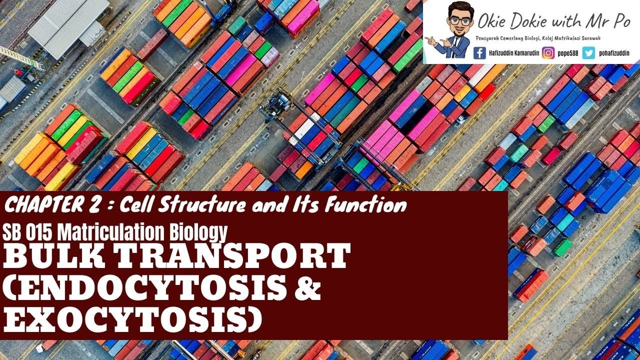 Chapter 2 EP 27 / Sem 1: Bulk Transport [Exocytosis & Endocytosis ...