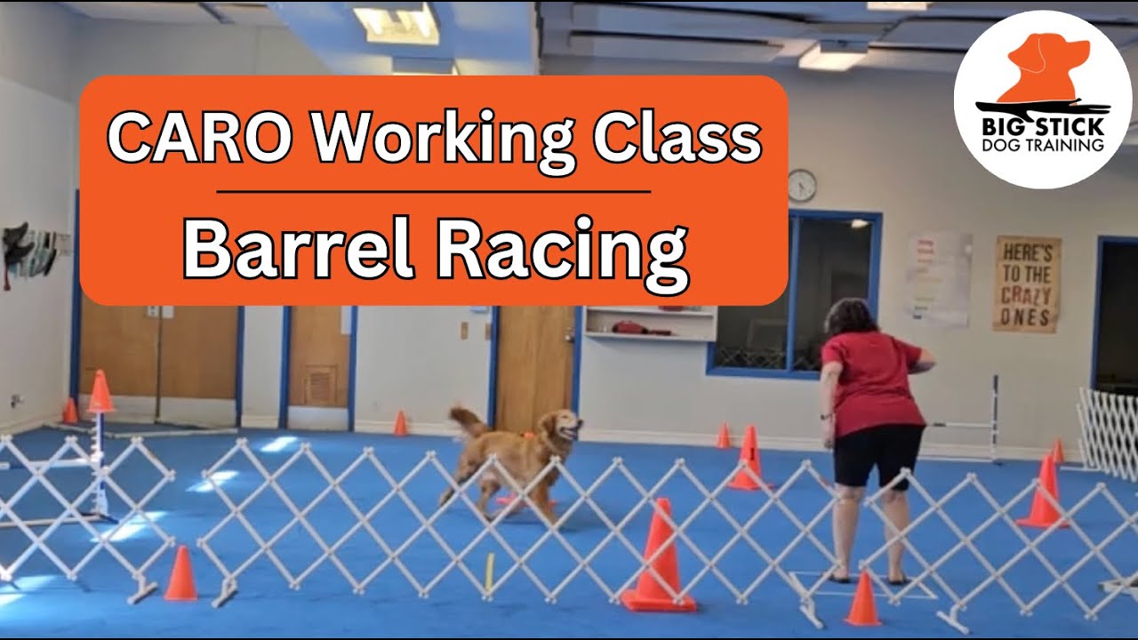 CARO Working - Barrel Racing - YouTube
