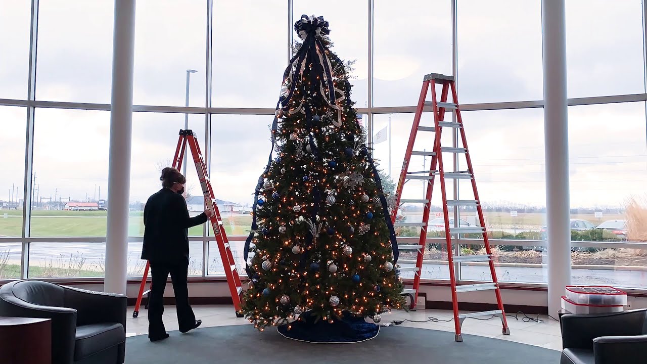 NAL Christmas Tree 2020: Watch a Time-Lapse Video - YouTube