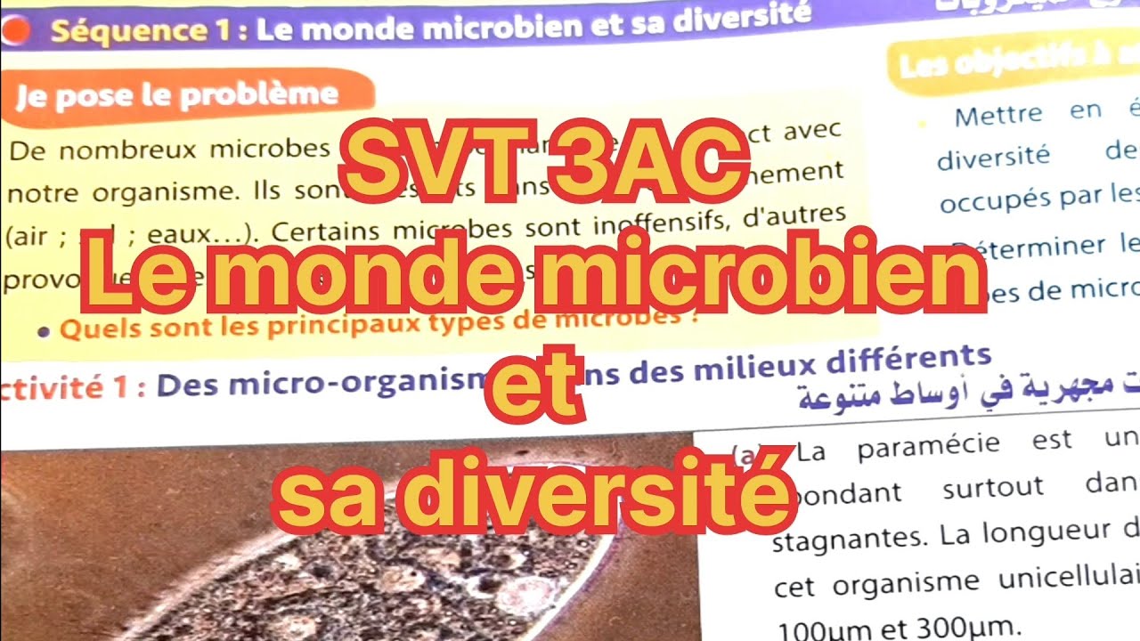Univers plus SVT 3AC Le monde microbien et sa diversité . - YouTube