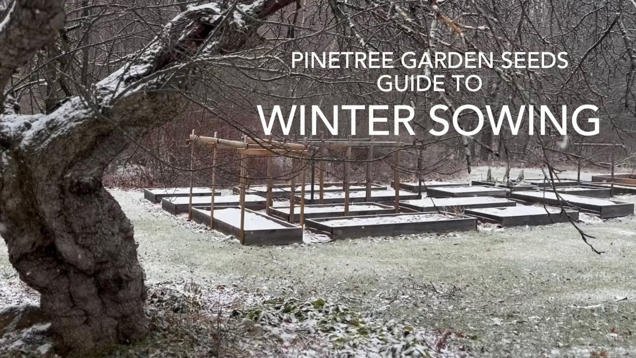 Winter Sowing - With Pinetree Garden Seeds - YouTube