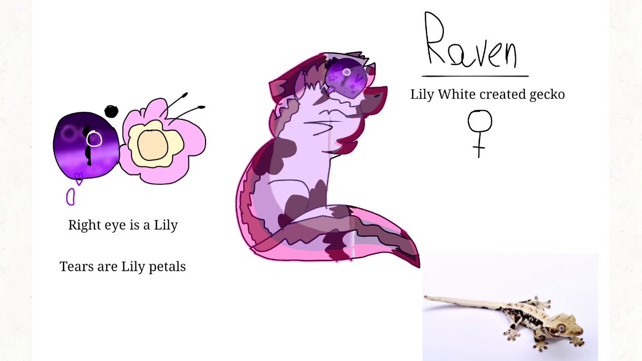 I made a crested gecko oc 🦎 👺👺👺👺👺👺👺👺 - YouTube