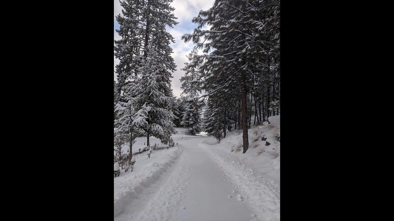 Relationship/Friendship( Evangelist Penny Talbot)1/18/2020 - YouTube