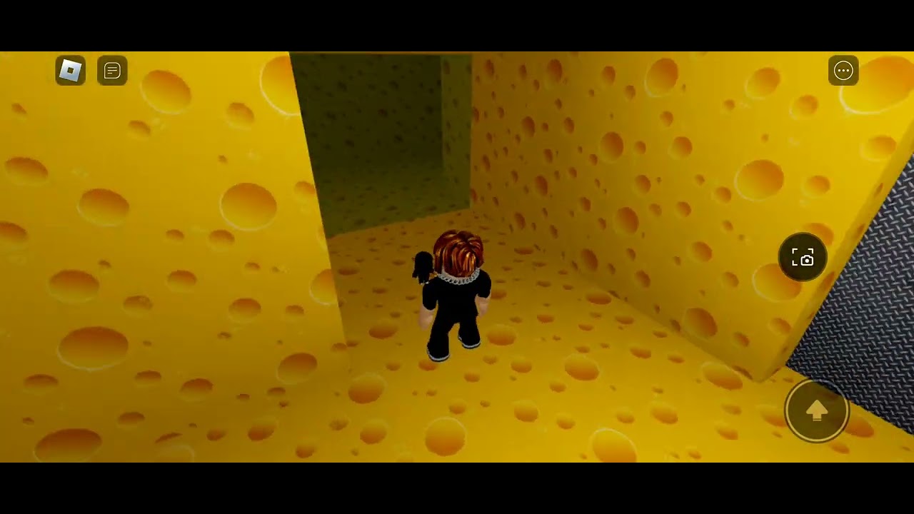 Roblox Cheese Escape with a new member. - YouTube