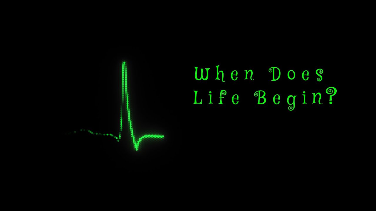 When Does Life Begin? - YouTube