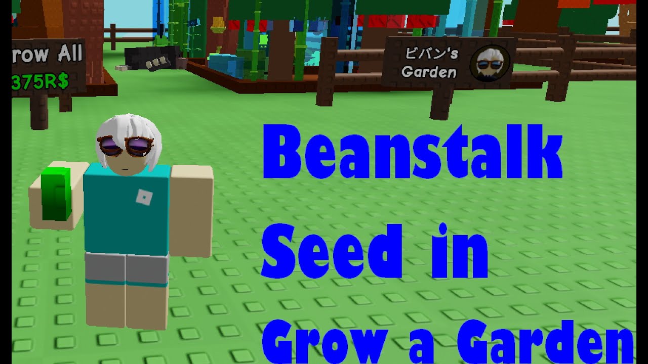 How to Get BEANSTALK SEED & FRUITS SHOWCASE in Grow A Garden! Roblox ...
