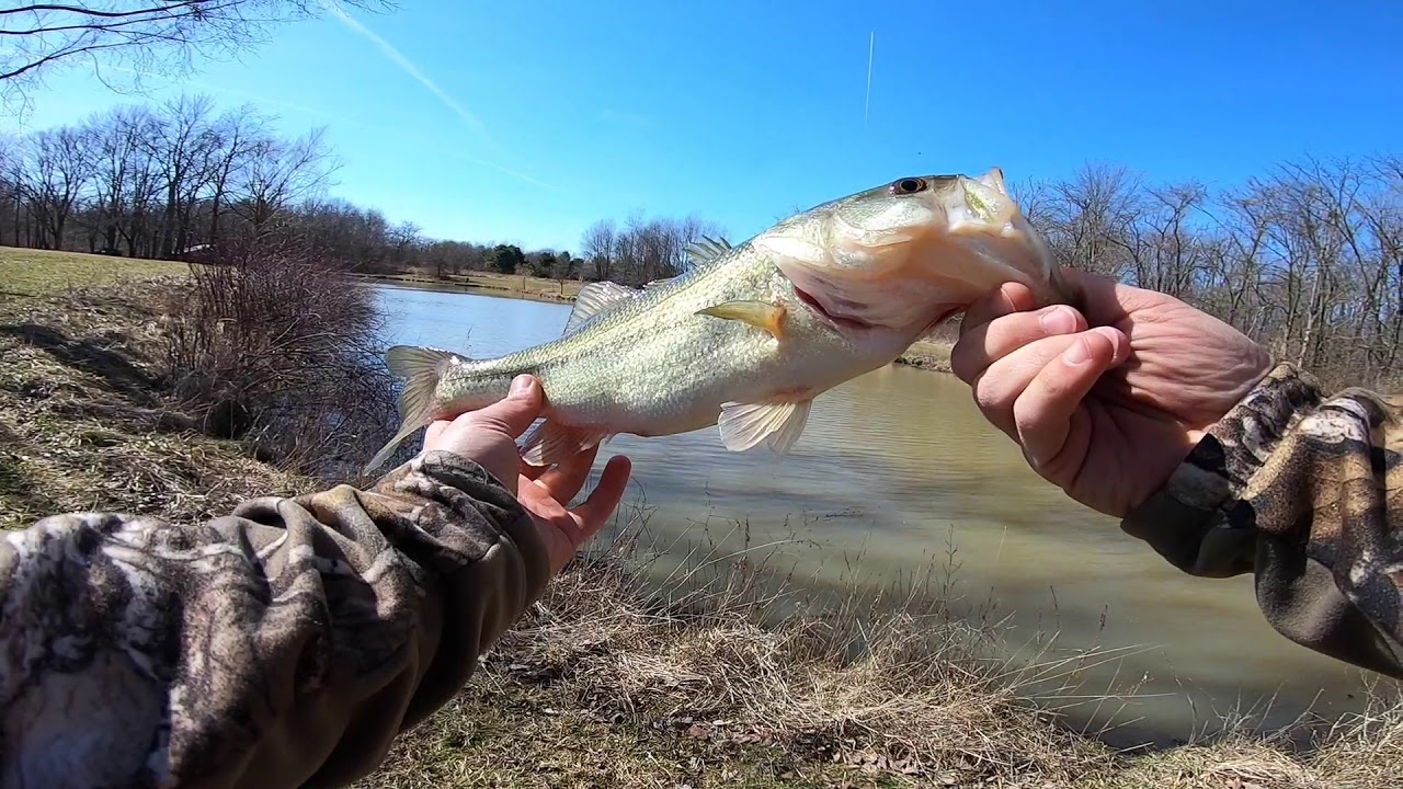 Spring Bass Fishing - YouTube