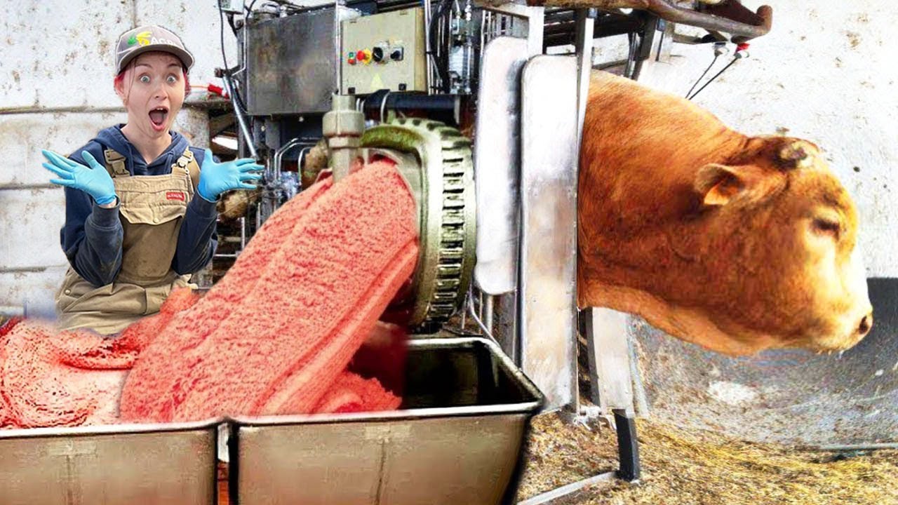 Dangerous Robotic Machine for Cowhoof Grinding and Cleaning : Modern ...