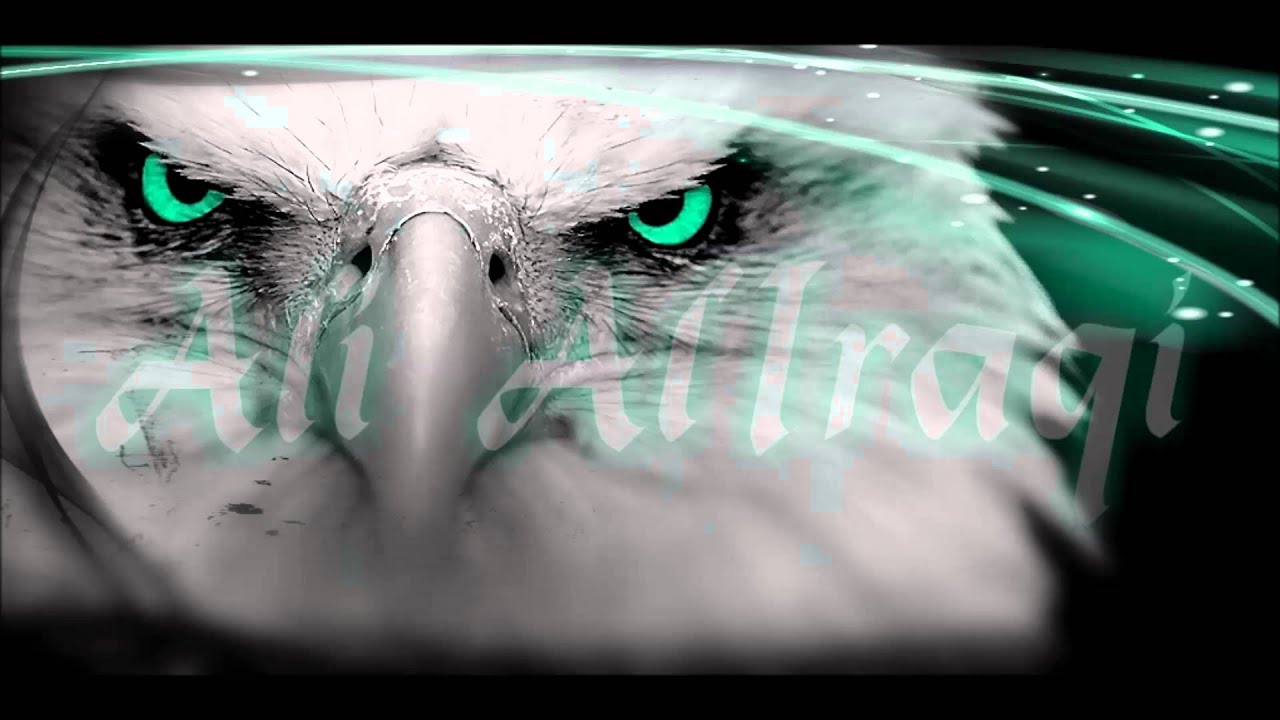 ali al-iraqi - YouTube