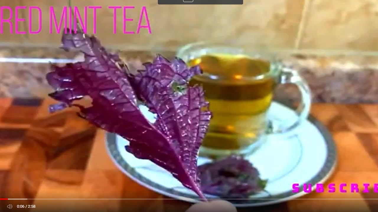 How to make green tea at home _ Most easy and healthy Red mint tea ...