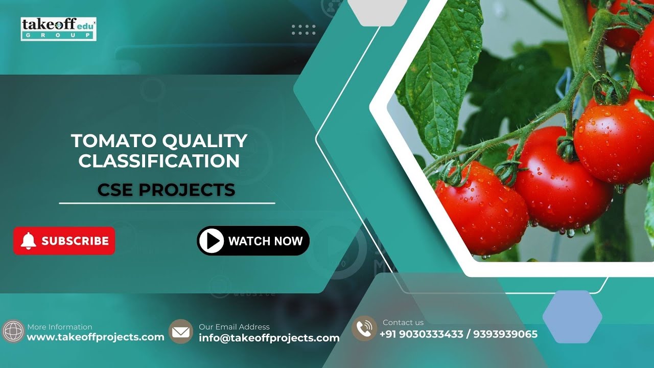 TOMATO QUALITY CLASSIFICATION | Takeoff Edu Group - YouTube