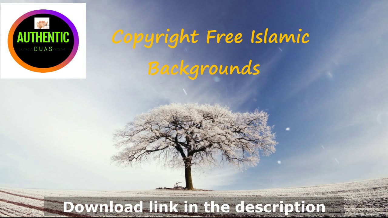 Copyright free Quran video || Free Islamic Backgrounds || free Islamic ...
