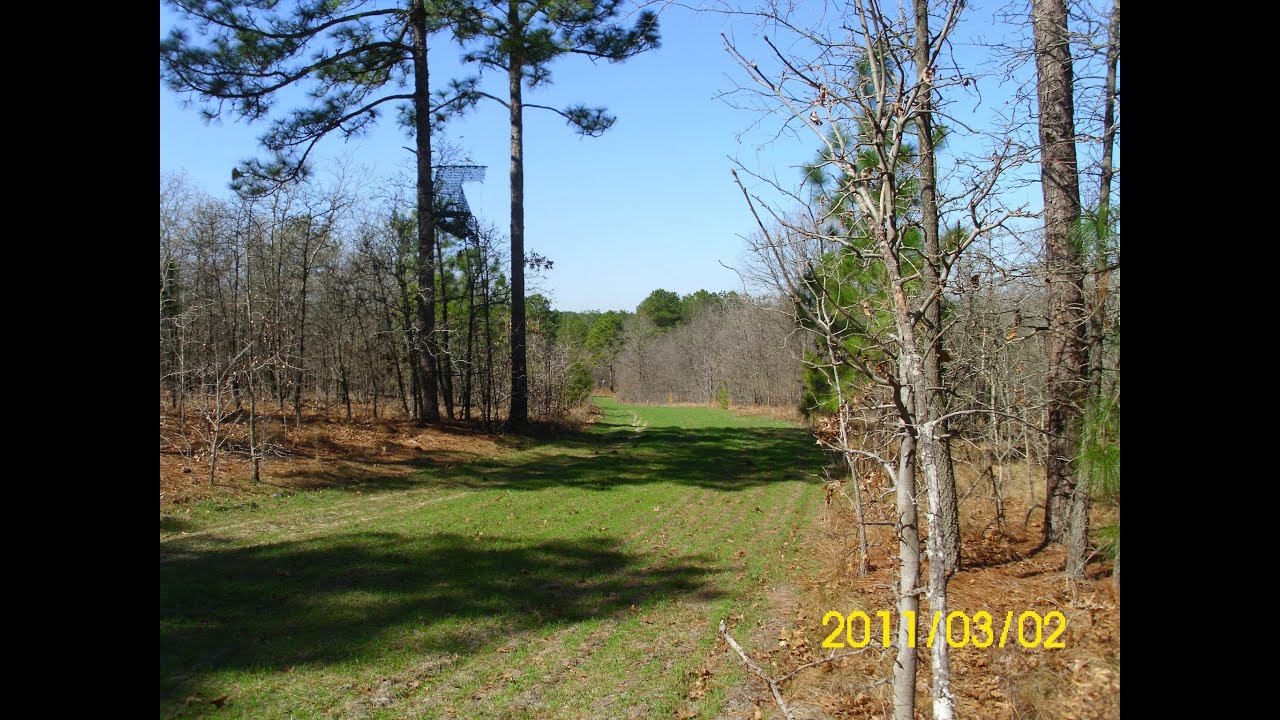 Example shooting lanes - YouTube