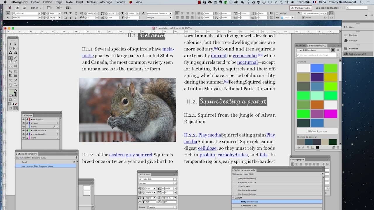 ID 2016 mai partie 3 sequence 38 720 01min - Adobe InDesign mise en ...
