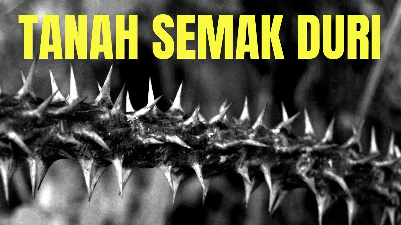 TANAH SEMAK DURI - YouTube