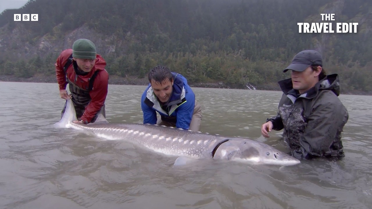 Fishing Impossible - Epic Encounters with Sharks, Sturgeon & More | The ...