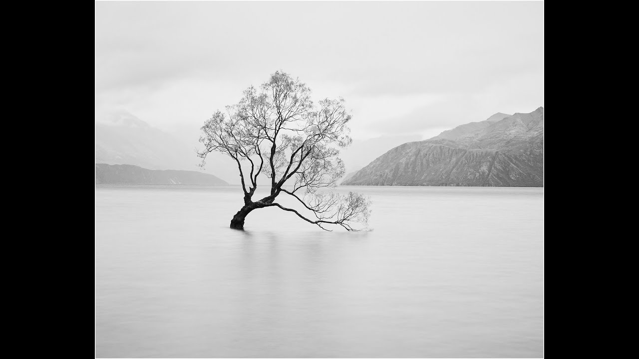 Steve Gosling meets the Olympus E-Group to talk about his philosophy on ...