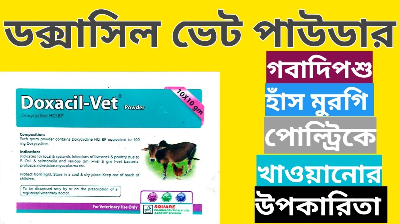 Doxacil vet powder for all animals গবাদিপশু ছাগল ভেড়া বাচুর পোল্ট্রি ...